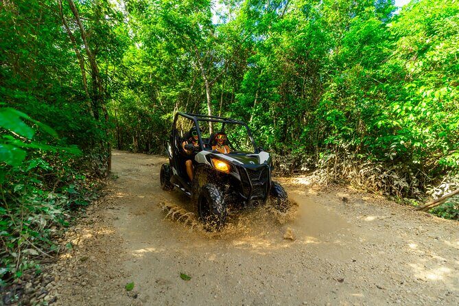 4-Hour Cancun Jungle Buggy Tour with Zipline Circuit & Cenote - Who Should Consider This Tour?