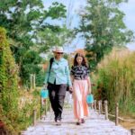 4-Hours Phuket Ethical Elephant Sanctuary Tour with Lunch - Value and Price: Are You Getting Your Money’s Worth?