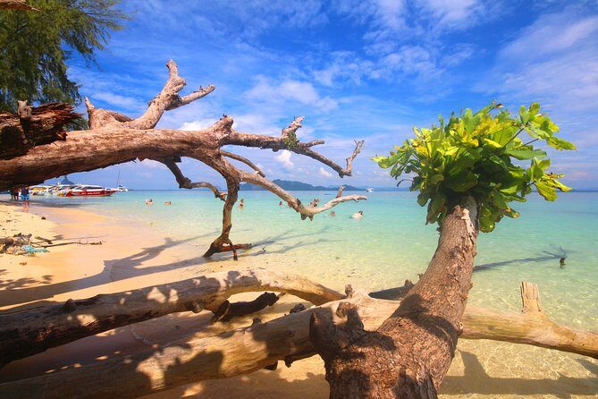 4-Island Wonders: Emerald Cave&Koh Kradan Day Tour by Opal Travel - What Makes This Tour Stand Out?