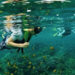 4 Point Snorkeling Nusa Penida from Bali - The Marine Highlights: Unpacking the Stops