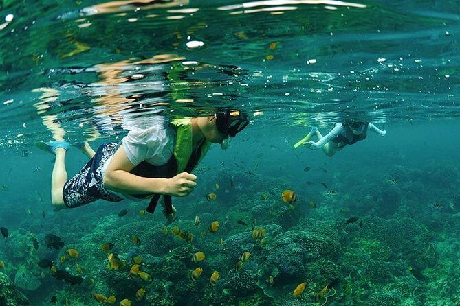 4 Point Snorkeling Nusa Penida from Bali - The Marine Highlights: Unpacking the Stops