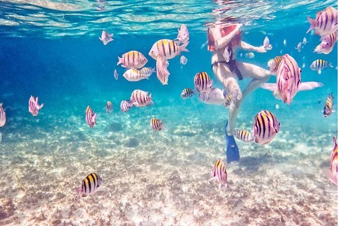 4H Luxury 44' Catamaran All-Inclusive in Tulum & Playa del Carmen - Who Will Love This Tour?