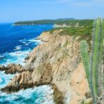 5-Bay Exclusive Premium Panga Experience - Who Will Love This Tour?