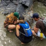 5-Day Adventure Tour in Vancouver Island Exploration - What Do Travelers Say?