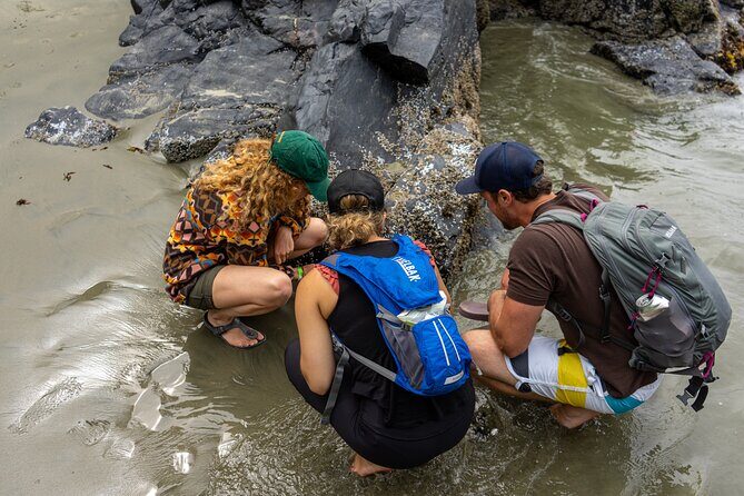 5-Day Adventure Tour in Vancouver Island Exploration - What Do Travelers Say?