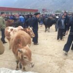 5-Day Best North Vietnam Tour: Ba Be Lake - Ban Gioc Waterfall - Ha Giang Loop - FAQ