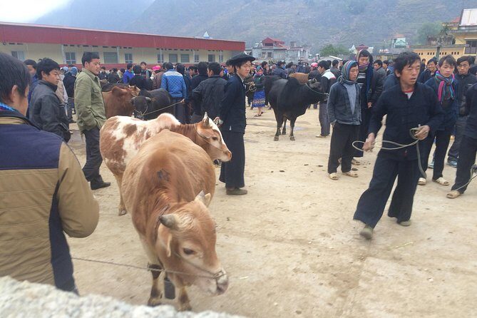 5-Day Best North Vietnam Tour: Ba Be Lake - Ban Gioc Waterfall - Ha Giang Loop - FAQ