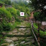 5-day Chopta trek with suite stay - The Itinerary in Detail: What to Expect Each Day