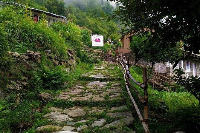 5-day Chopta trek with suite stay - The Itinerary in Detail: What to Expect Each Day