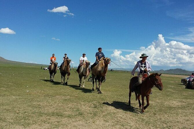 5 Day experience how to ride a horse , Real Mongolian experience - What makes this tour stand out for travelers?