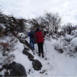 5 Day Langtang Valley Trek; Guide; Transport; permit - The Itinerary in Detail