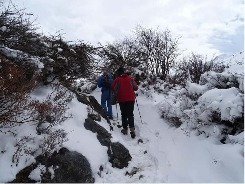 5 Day Langtang Valley Trek; Guide; Transport; permit - The Itinerary in Detail