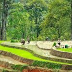 5-Day North Vietnam: Hanoi -Halong Bay -Ninh Binh-Sapa from Hanoi - The Overall Value