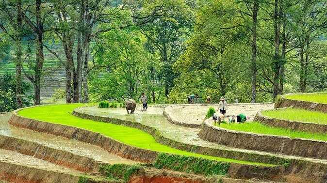 5-Day North Vietnam: Hanoi -Halong Bay -Ninh Binh-Sapa from Hanoi - The Overall Value