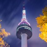 5 Day Private from Busan to Seoul,Gyeongju,Tongyeong, Boseong Green Tea Field - Key Points