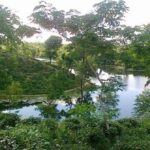 5-Day Sightseeing Tour in Srimangal and Sylhet - The Experience: What Travelers Love & What to Consider