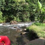 5 Day Wildlife Safari Tour in Sri Lanka - The Value of the Tour