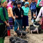 5 Days - Adventure Ha Giang - Ban Gioc Waterfall from Hanoi - Who is This Tour Best For?