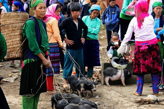 5 Days - Adventure Ha Giang - Ban Gioc Waterfall from Hanoi - Who is This Tour Best For?