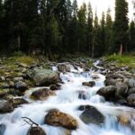 5 Days and 4 Nights Private Tour of Kashmir - What Are the Key Highlights?