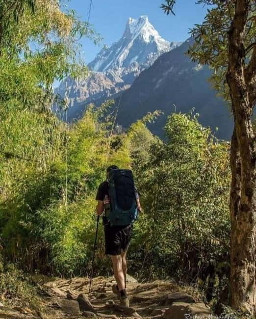 5 Days Annapurna Base Camp Trek - Detailed Itinerary Breakdown