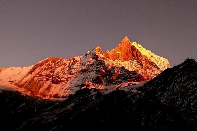 5 Days Annapurna base camp trek from Pokhara - The Experience in Practice