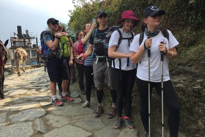 5 Days Annapurna Mountain View Trekking from Pokhara, Nepal - What Did Past Travelers Think?