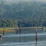 5 Days Budget Kerala Tour Packages by Sanguine Holidays - Final Thoughts: Is This Tour Right for You?