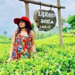 5 DAYS BUDGET TOUR package in Sri Lanka - Travel Details and What You Can Expect