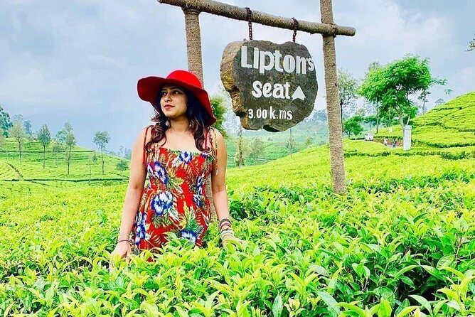 5 DAYS BUDGET TOUR package in Sri Lanka - Travel Details and What You Can Expect