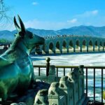 [5 days] Capital Beijing 2 nights + Modern Shanghai 2 nights By high speed Train - Final Thoughts: Who This Tour Is Best For