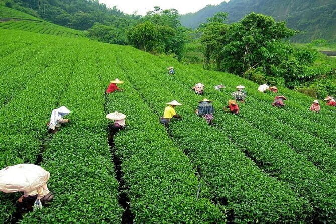 5 Days Darjeeling Sikkim Tour - Why Travelers Will Appreciate This Tour