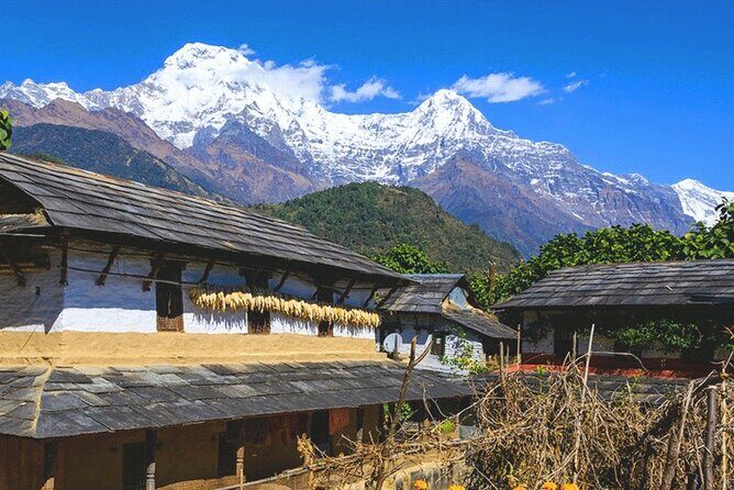 5 Days Ghorepani Poonhill Trek - Who Should Consider This Trek?