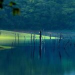 5 Days Luxury Kerala Tour with Houseboat Experience - Day-by-Day Breakdown: What You Can Expect