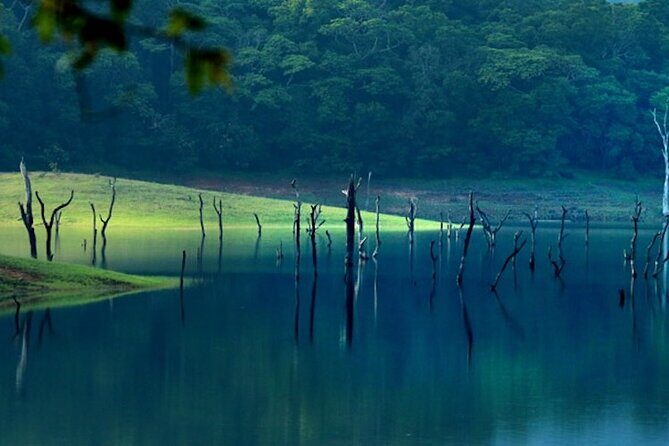 5 Days Luxury Kerala Tour with Houseboat Experience - Day-by-Day Breakdown: What You Can Expect