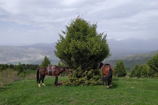 5 days Natural wonders of Issyk-Kul, Son-Kul and Chon-Kemin - An In-Depth Look at the Itinerary