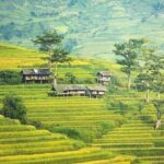 5 days North Vietnam at a Glance:Hanoi, Halong bay & Sapa - FAQ