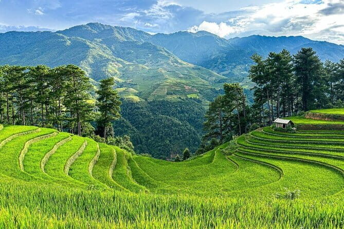 5 days Northwest adventures with Bac Ha Sunday Market - Who Will Love This Tour?