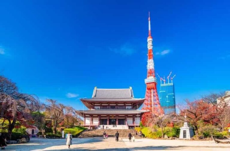5-Days Private Tour Tokyo, Mt Fuji, Nikko, Hakone and Nagano - Is This Tour Worth the Price?