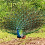 5 Days - Private Wildlife Photography Tour with Unique Accommodation options - Who Will Enjoy This Tour?