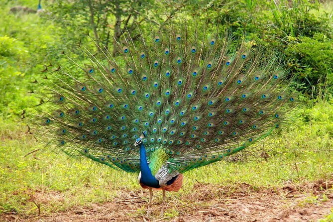 5 Days - Private Wildlife Photography Tour with Unique Accommodation options - Who Will Enjoy This Tour?