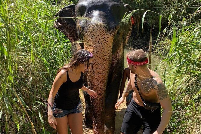 5 Days Tour in Sri Lanka (Hotels with Breakfast & Luxury Car) - Practical Tips for Travelers