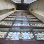 5 Days Vacation Siem Reap & Phnom Penh - Day 3: Transition to Phnom Penh