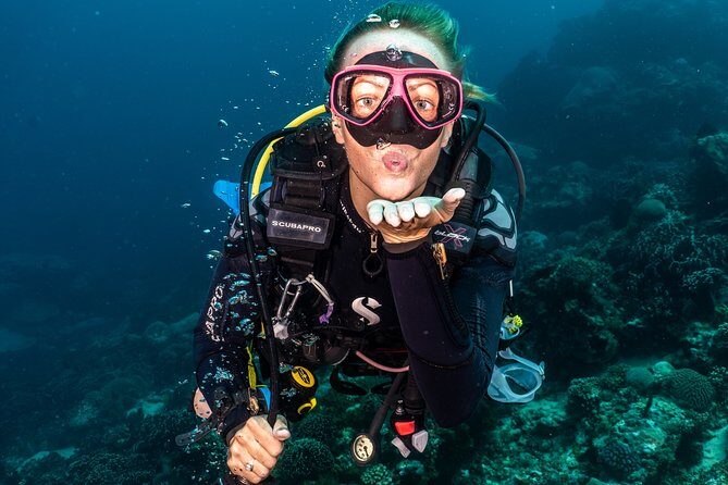 5 Fun Dives in Pemuteran (for certified divers) - Exploration in Menjangan Park - A Deep Dive Into the Experience: What to Expect