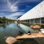 5-Hour Self-Guided Layover Tour to Luo Hong Art Museum with Peking Duck Option - The Itinerary in Detail