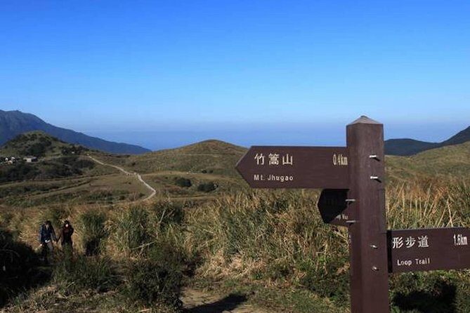 5-Hour Vegetarian Private Tour - Visit Yangmingshan and Taste Veggie Cuisine - Logistics and Practical Details