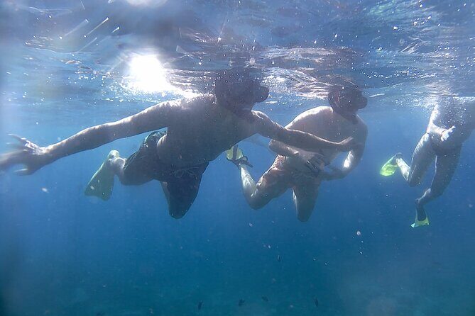 5 Hours Bali Blue Lagoon Snorkeling Tour Including Tanjung Jepun - The Cost and Value Proposition