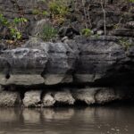 5 Hours Mangrove Boat Tour in Langkawi - Authentic Feedback from Participants