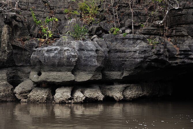 5 Hours Mangrove Boat Tour in Langkawi - Authentic Feedback from Participants