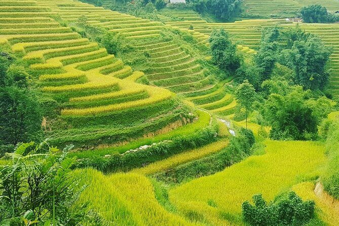 5 Hours Trekking with Terraced Rice Field in Sapa - The Charm of Sapa and Its Villages